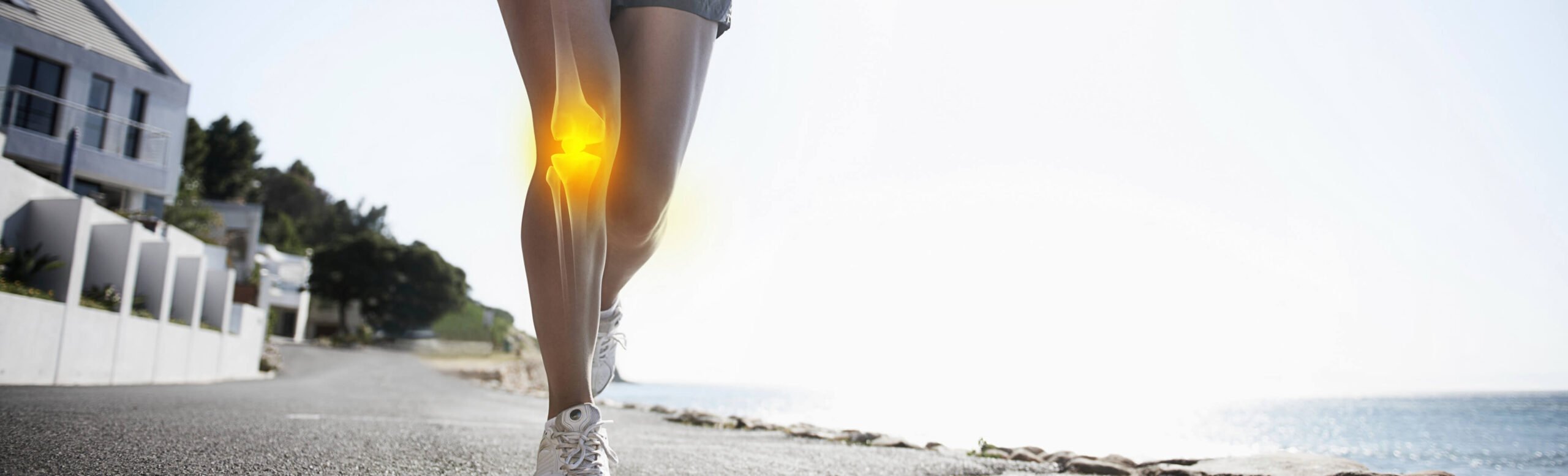 Ed Rubin MD | Pain Management | Long Island, NY